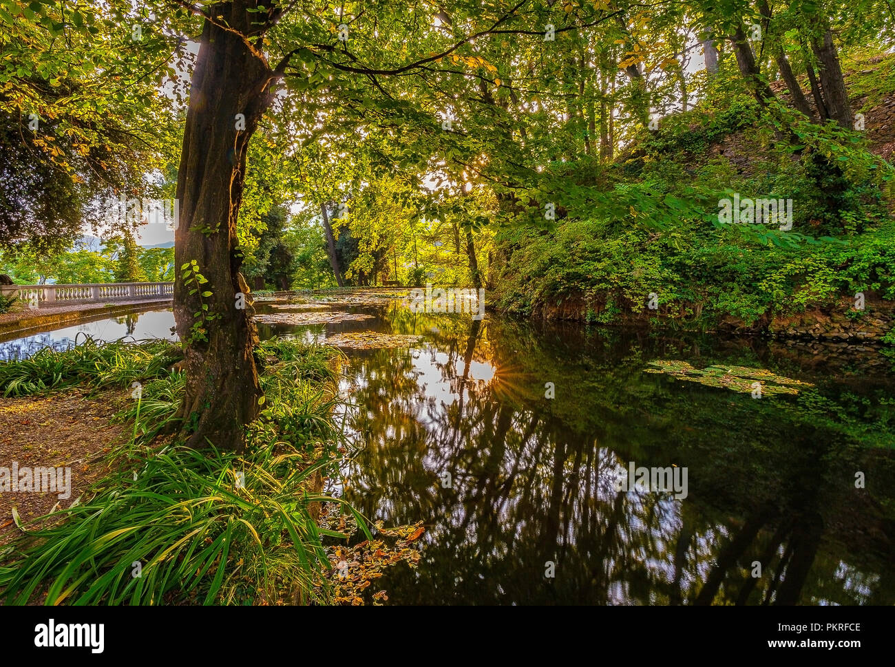 Italy Piedmont Busca Castello del Roccolo and park - The lake Stock ...
