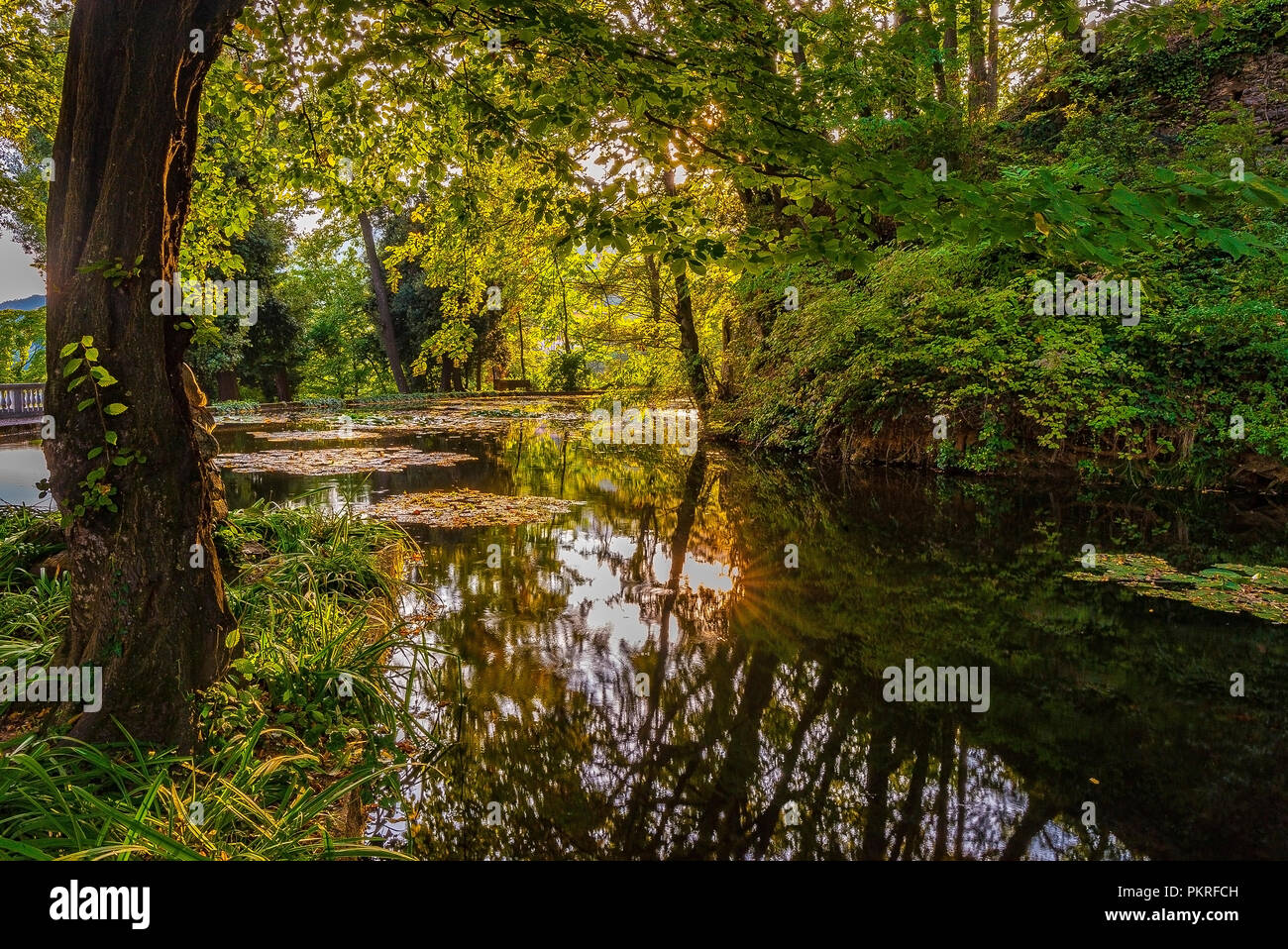 Italy Piedmont Busca Castello del Roccolo and park - The lake Stock ...