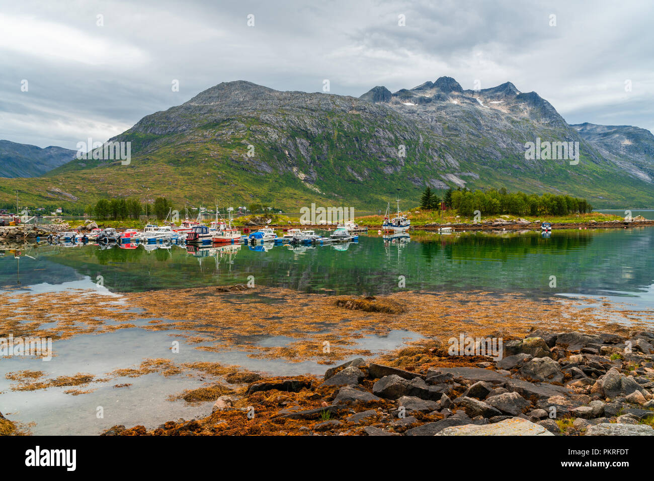 Ersfjorden hi-res stock photography and images - Alamy