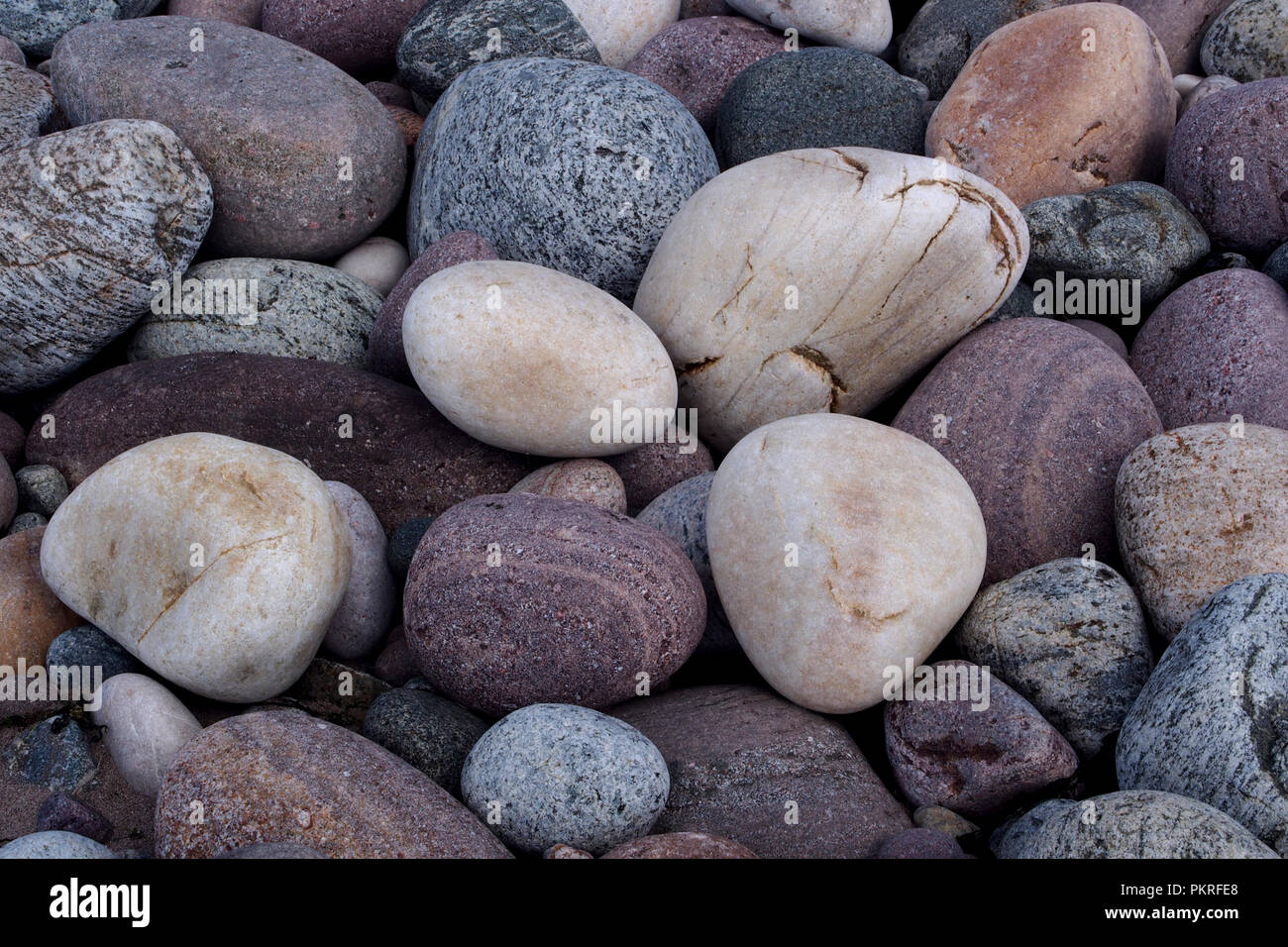 A close up view of large colourful, patterned stones on a beach in the ...