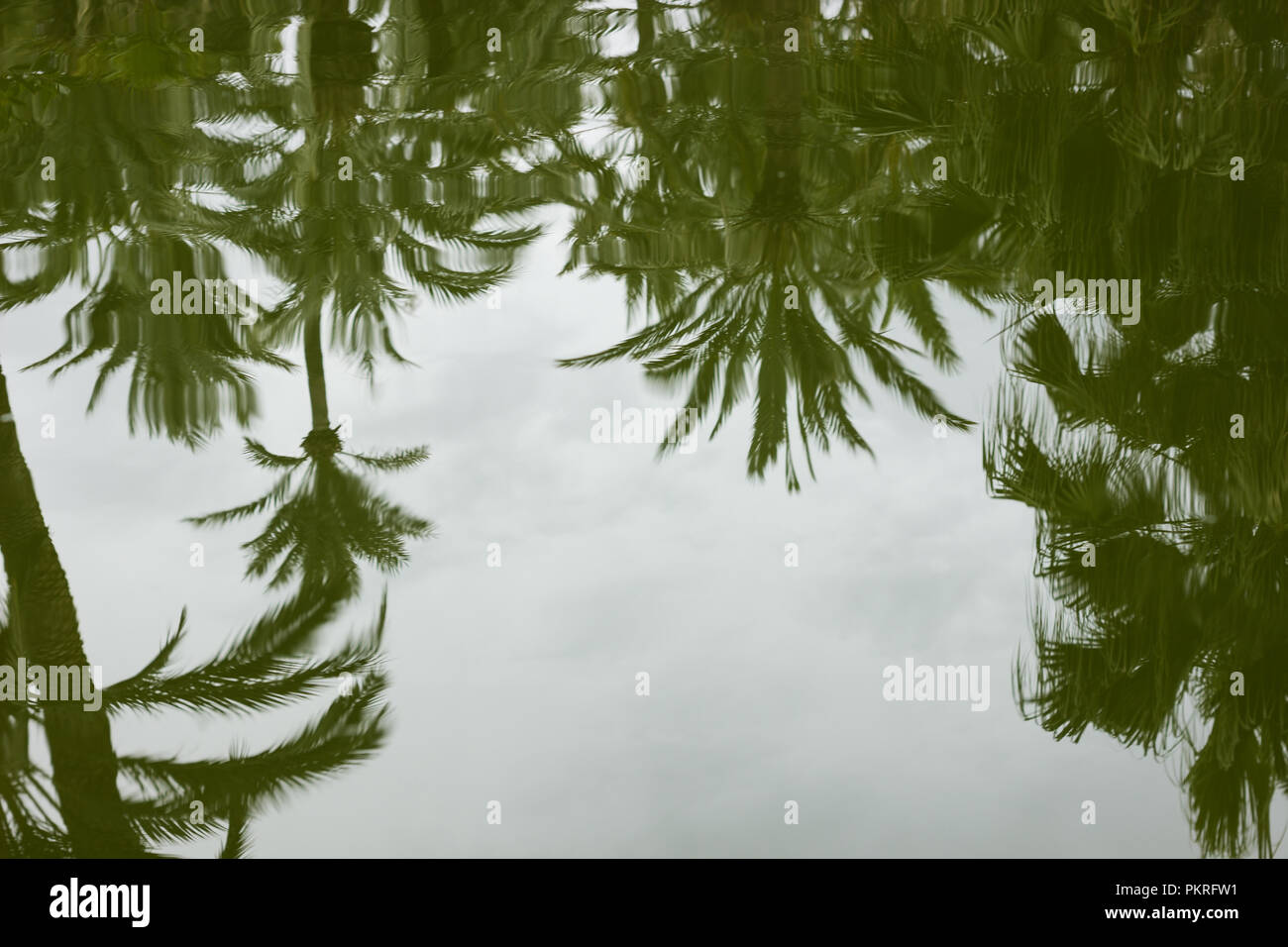 Disturbed Water Surface High Resolution Stock Photography and Images ...