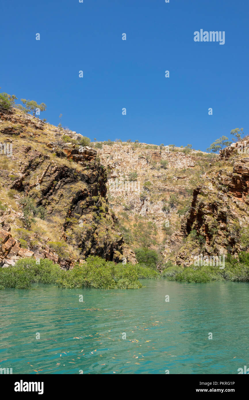 Tidal inlet of Talbot Bay with mangroves and sandstone formations ...