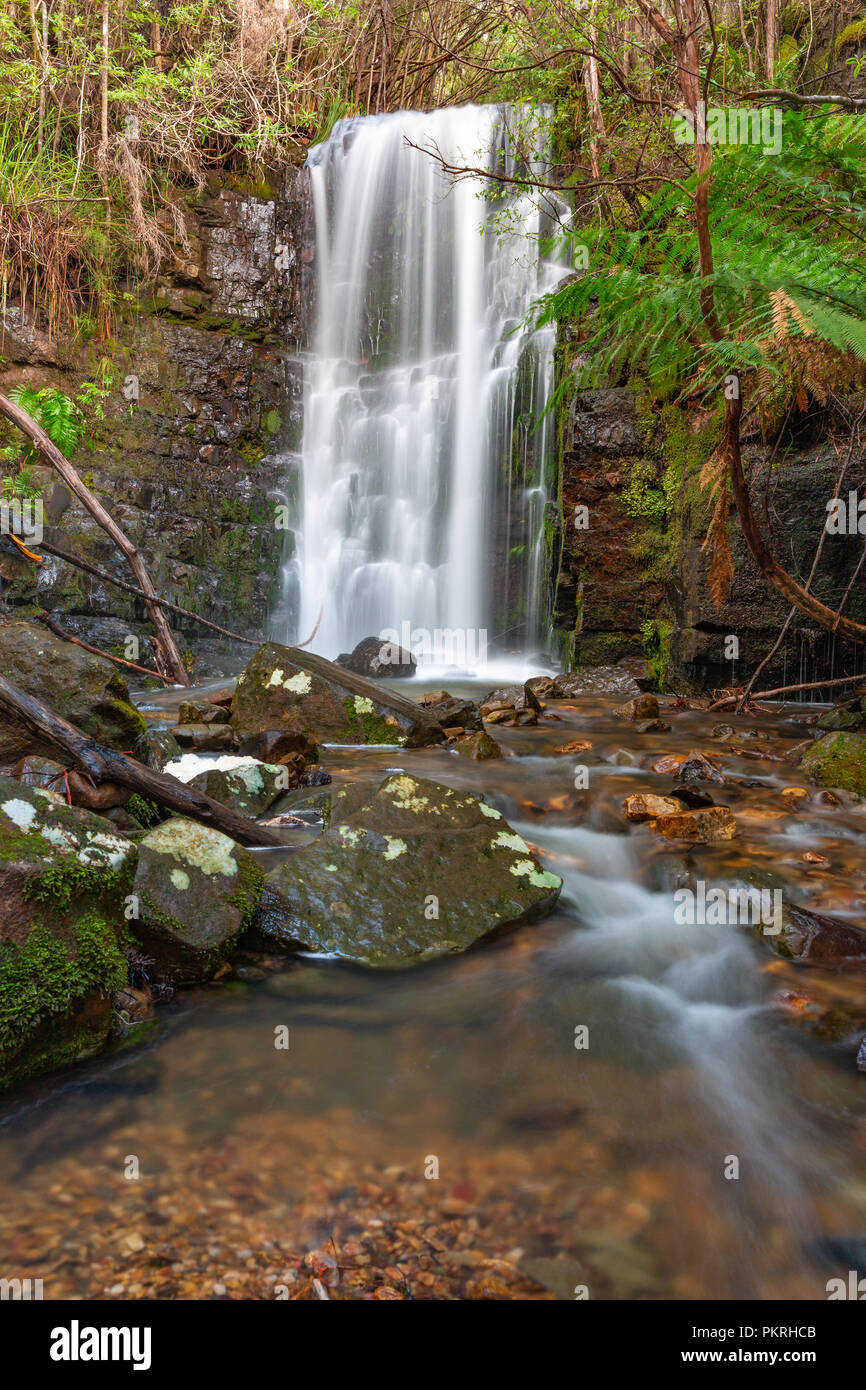 O'Grady Falls Hobart Tasmania Australia Stock Photo - Alamy