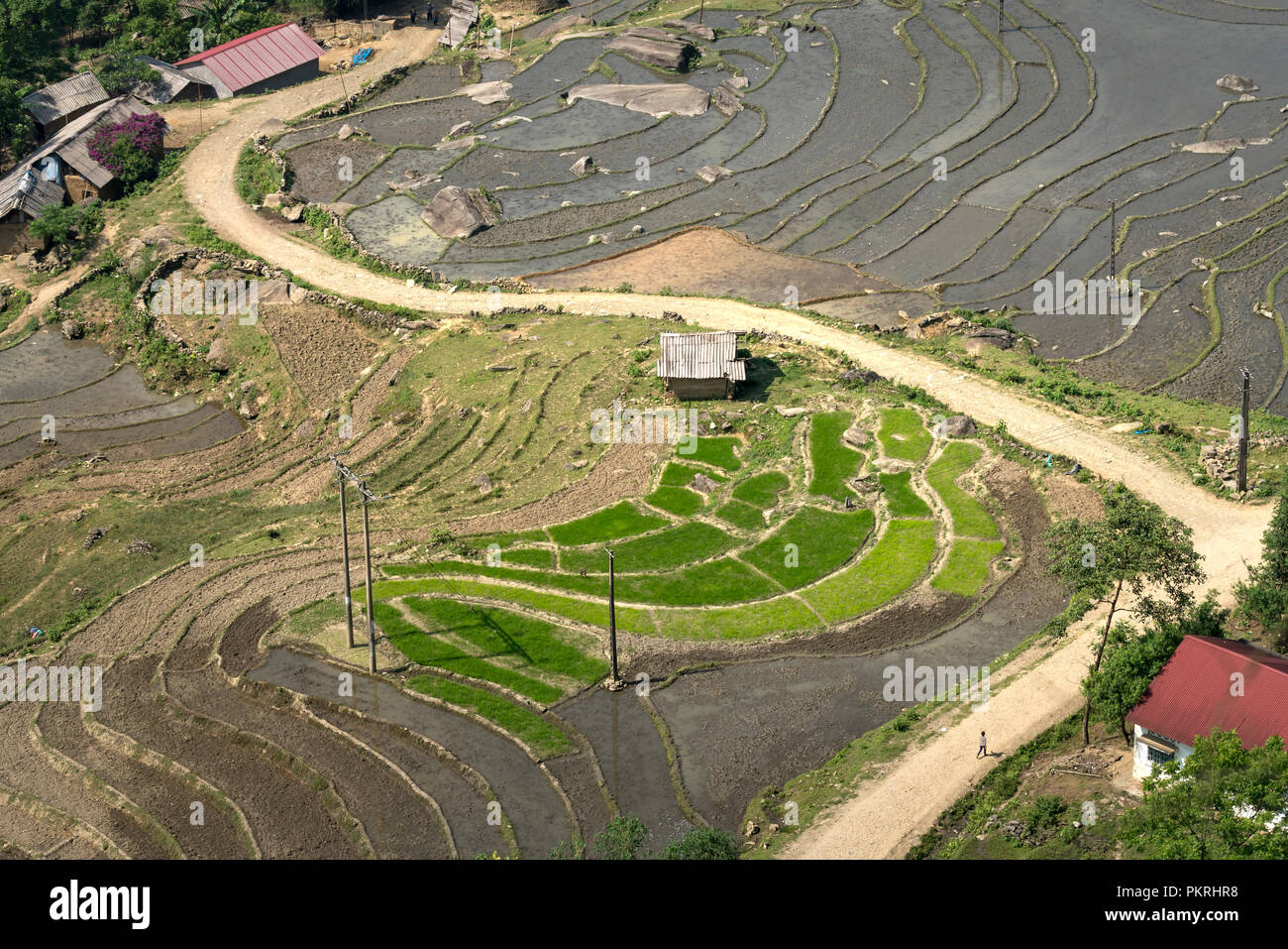 The image is as beautiful as the oil painting of terraced field in Mu ...