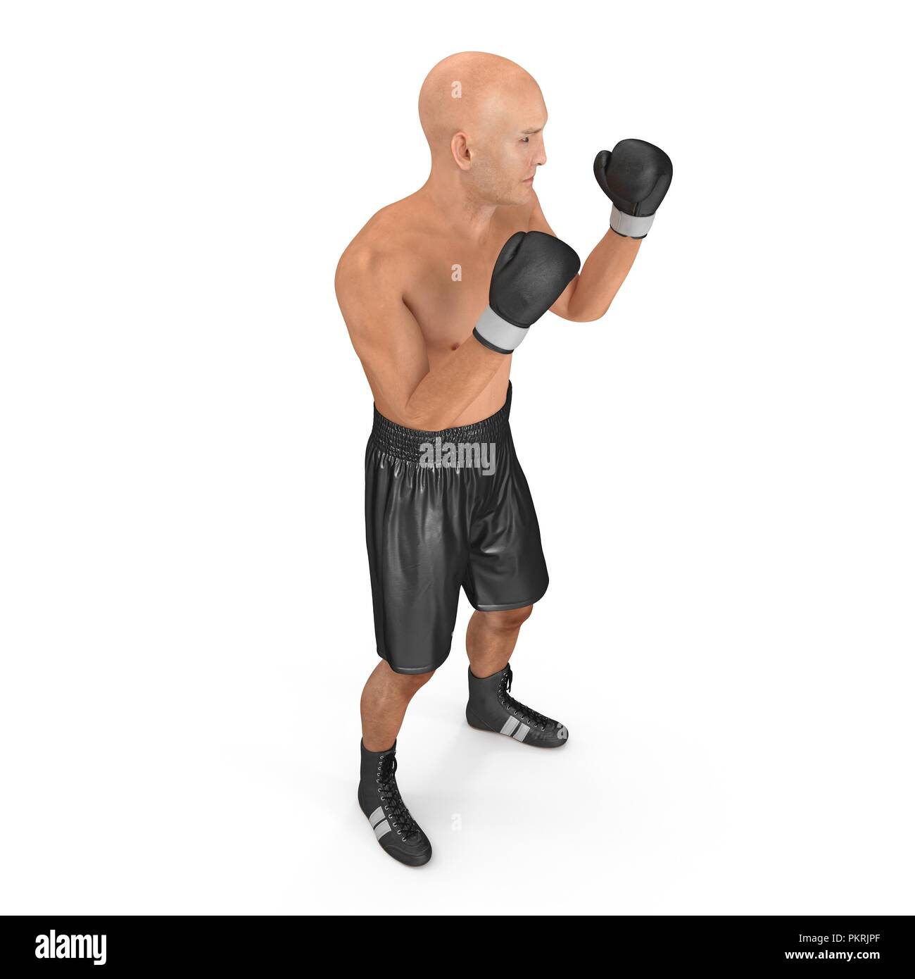 Boxer Fighter Full Body
