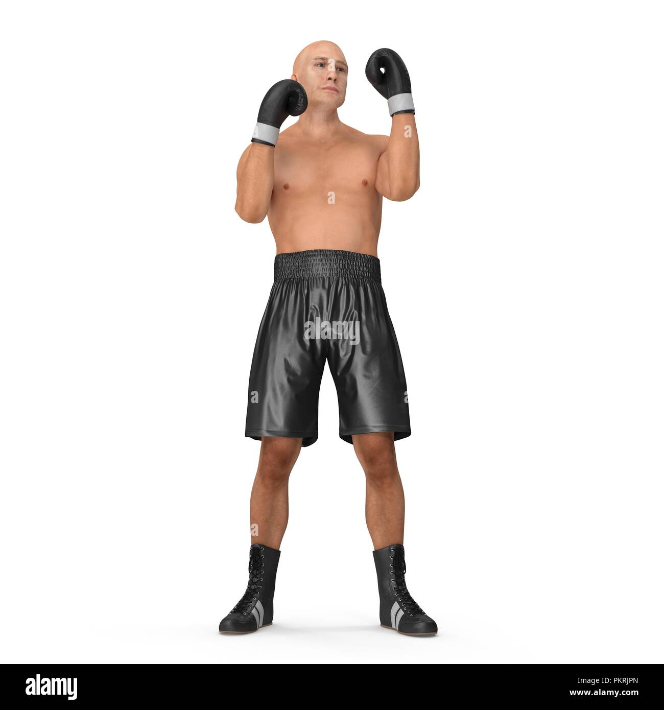 Boxer Fighter Full Body