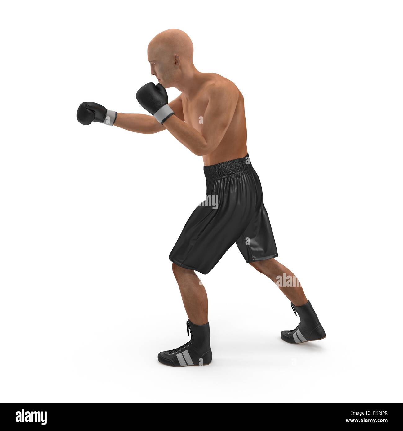 Boxer Fighter Full Body