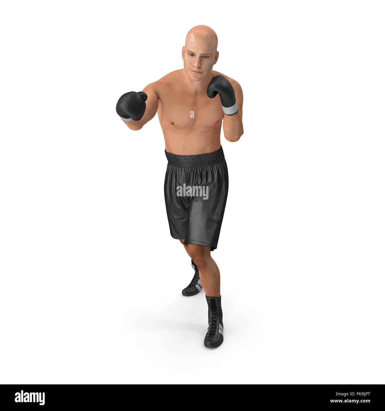 Boxer Fighter Full Body