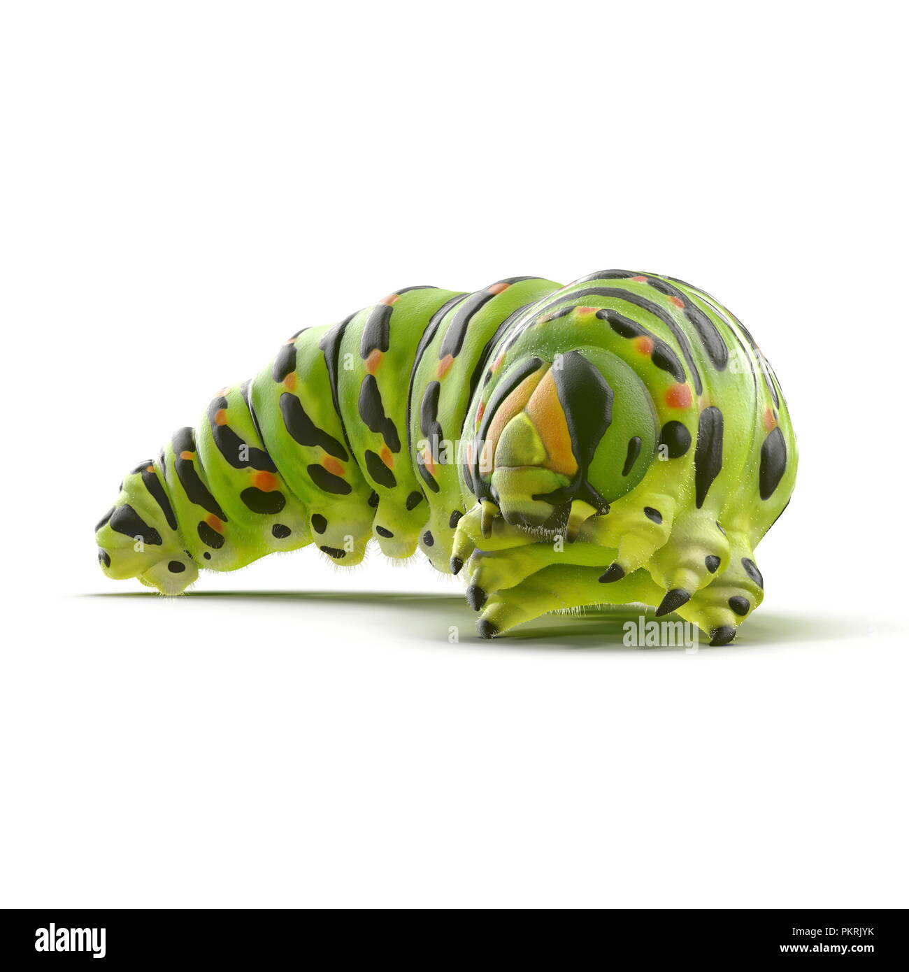 Claspers hi-res stock photography and images - Alamy