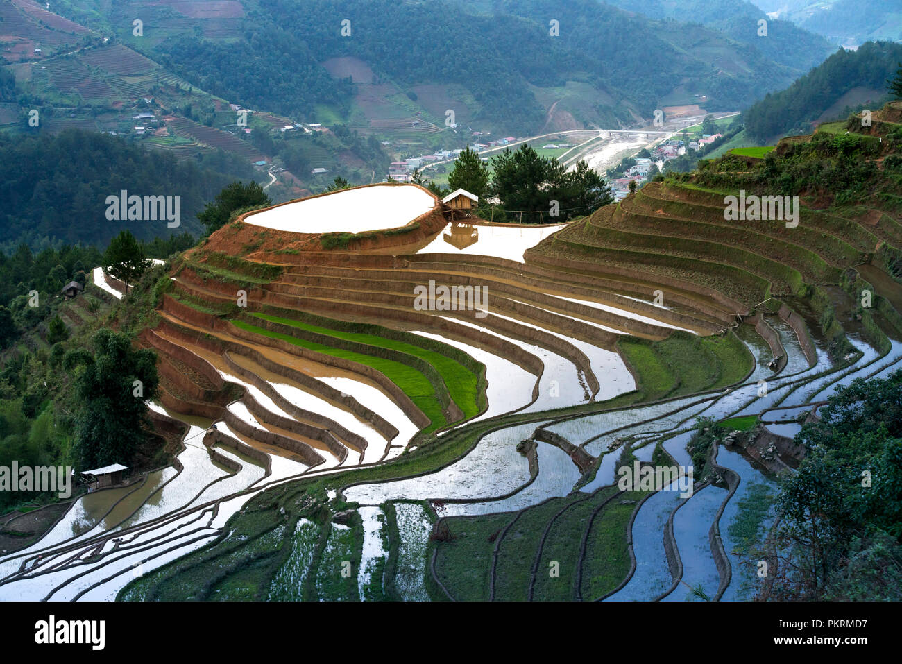 Beautiful terraced rice field in water season at Mu Cang Chai, Yen Bai ...