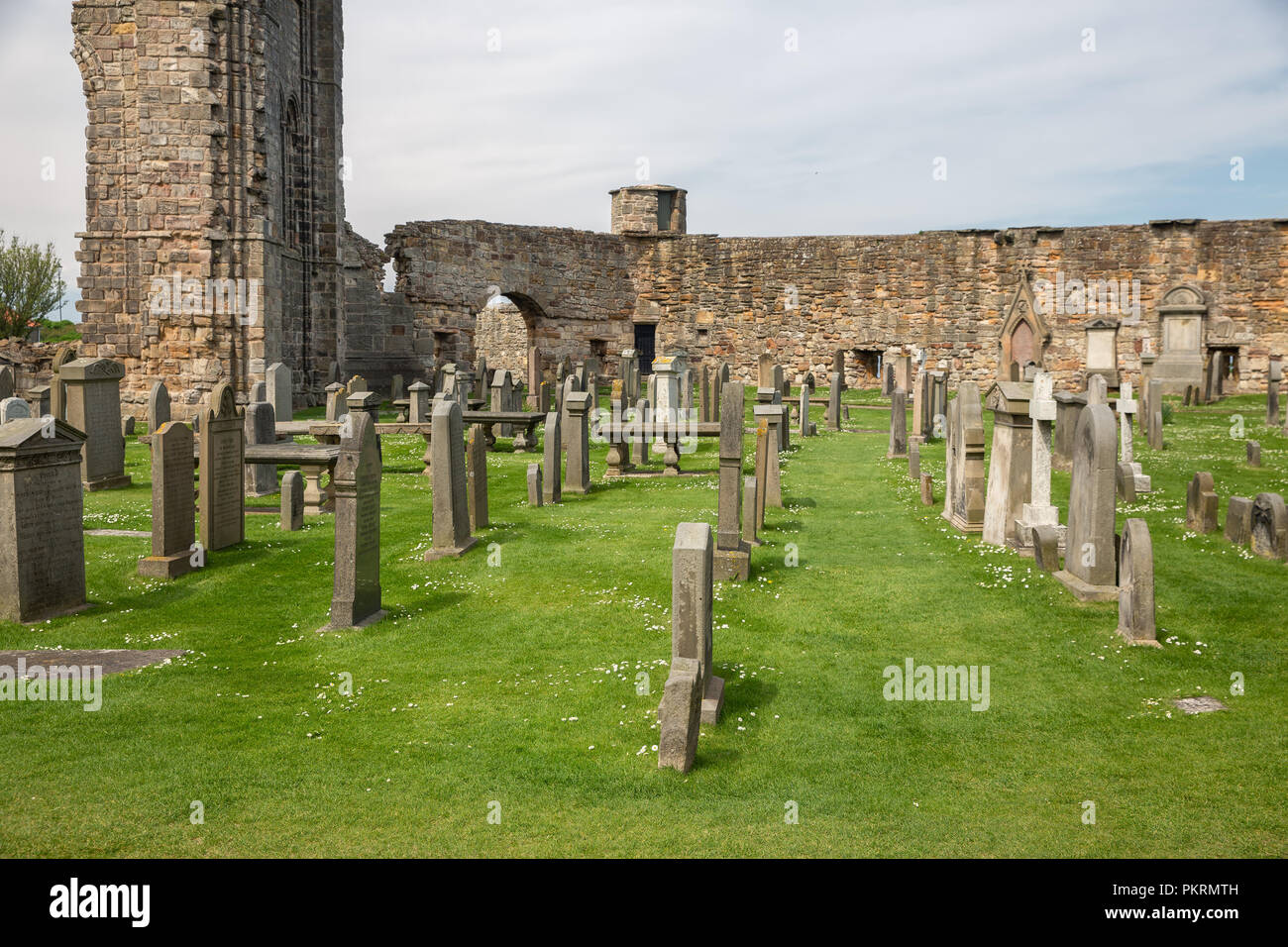 Ruin and graveyard with tombstones near St Andrews cathedral, Scotland ...