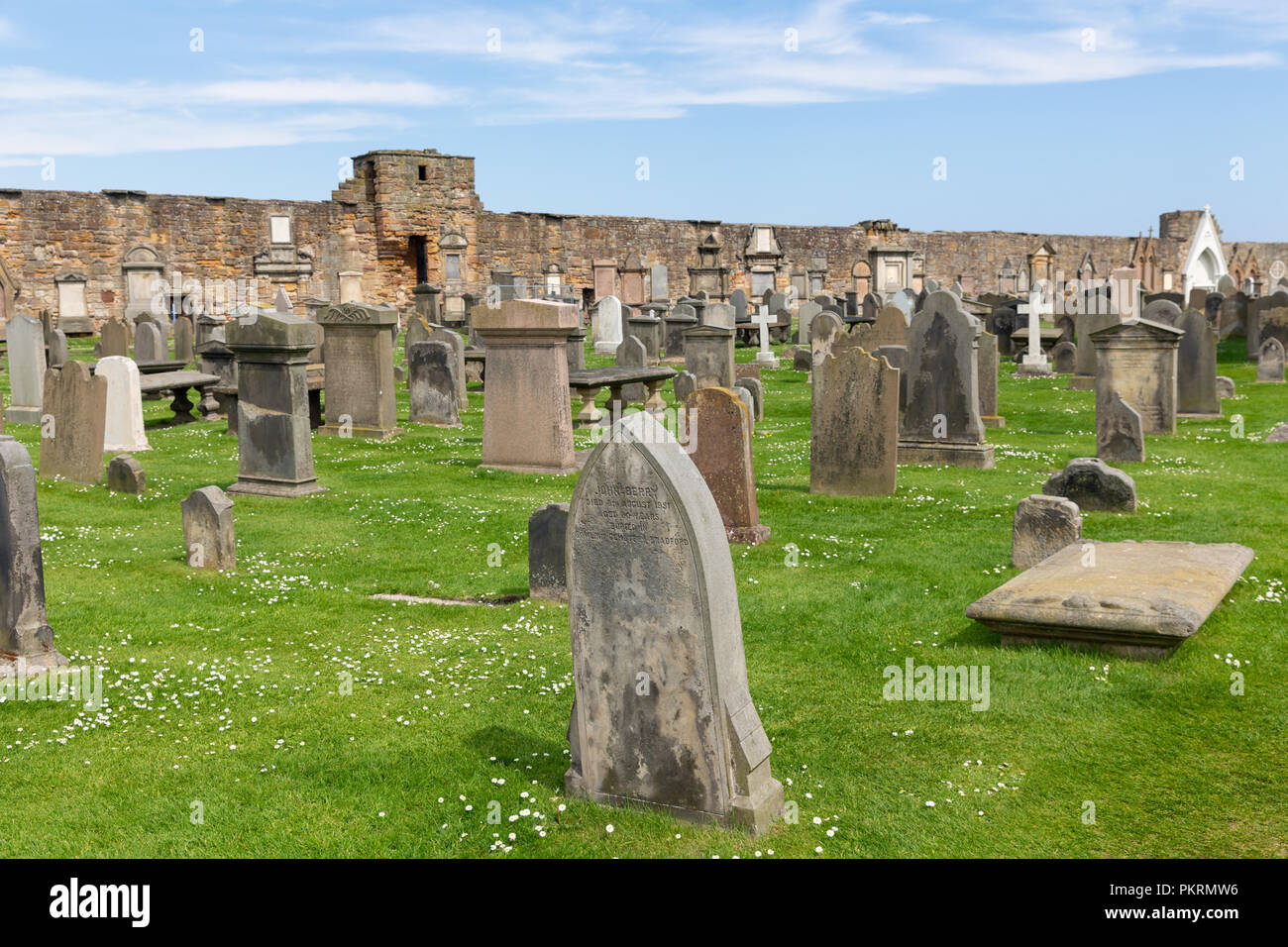 Ruin and graveyard with tombstones near St Andrews cathedral, Scotland ...