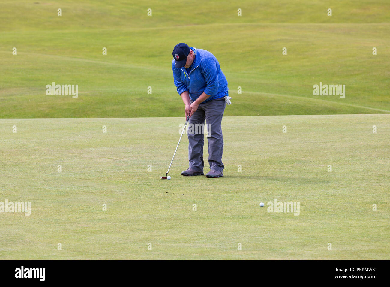 Man putting a ball at famous golf course StAndrews, Scotland Stock ...