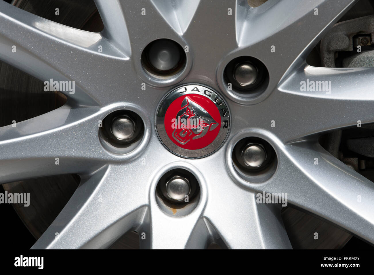 Jaguar car badge sign logo Stock Photo - Alamy