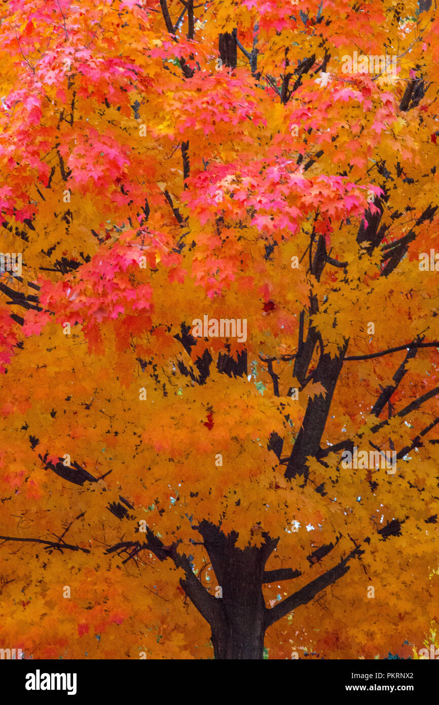 Autumn Colors, Ohio Stock Photo - Alamy