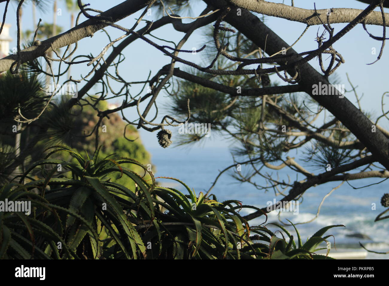 Laguna vera hi-res stock photography and images - Alamy