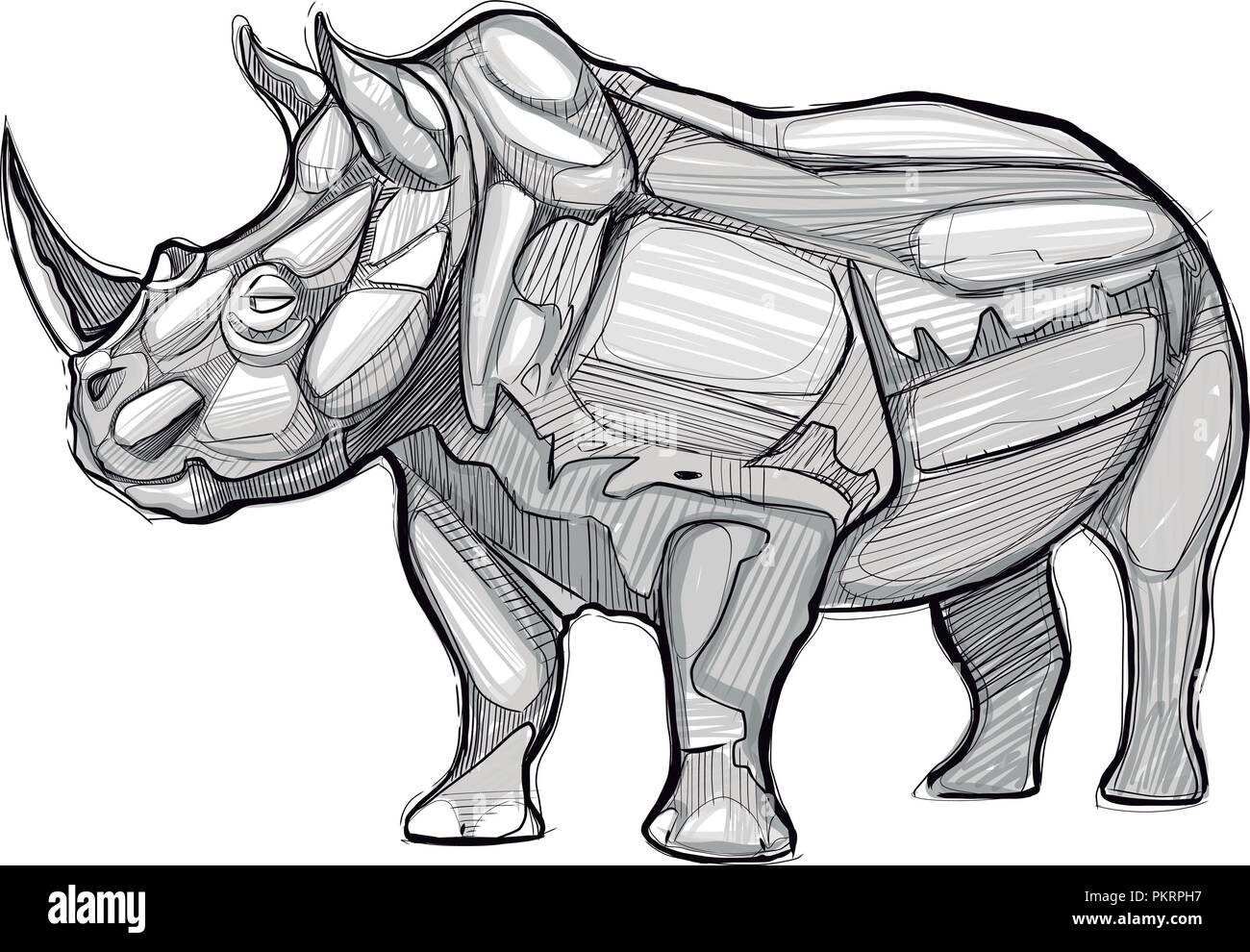 Rhino drawing hi-res stock photography and images - Alamy