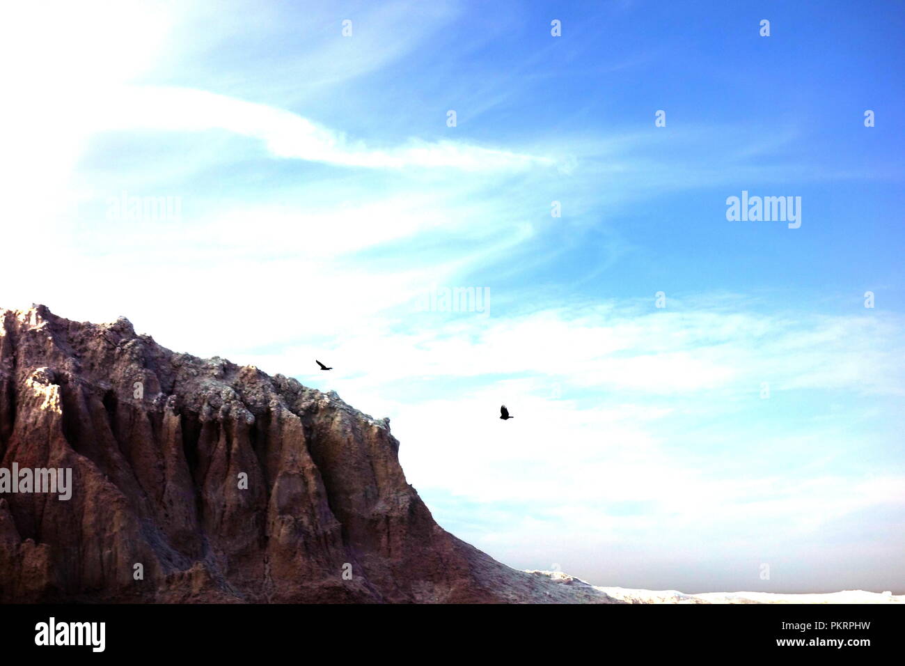 Cliff birds hi-res stock photography and images - Alamy