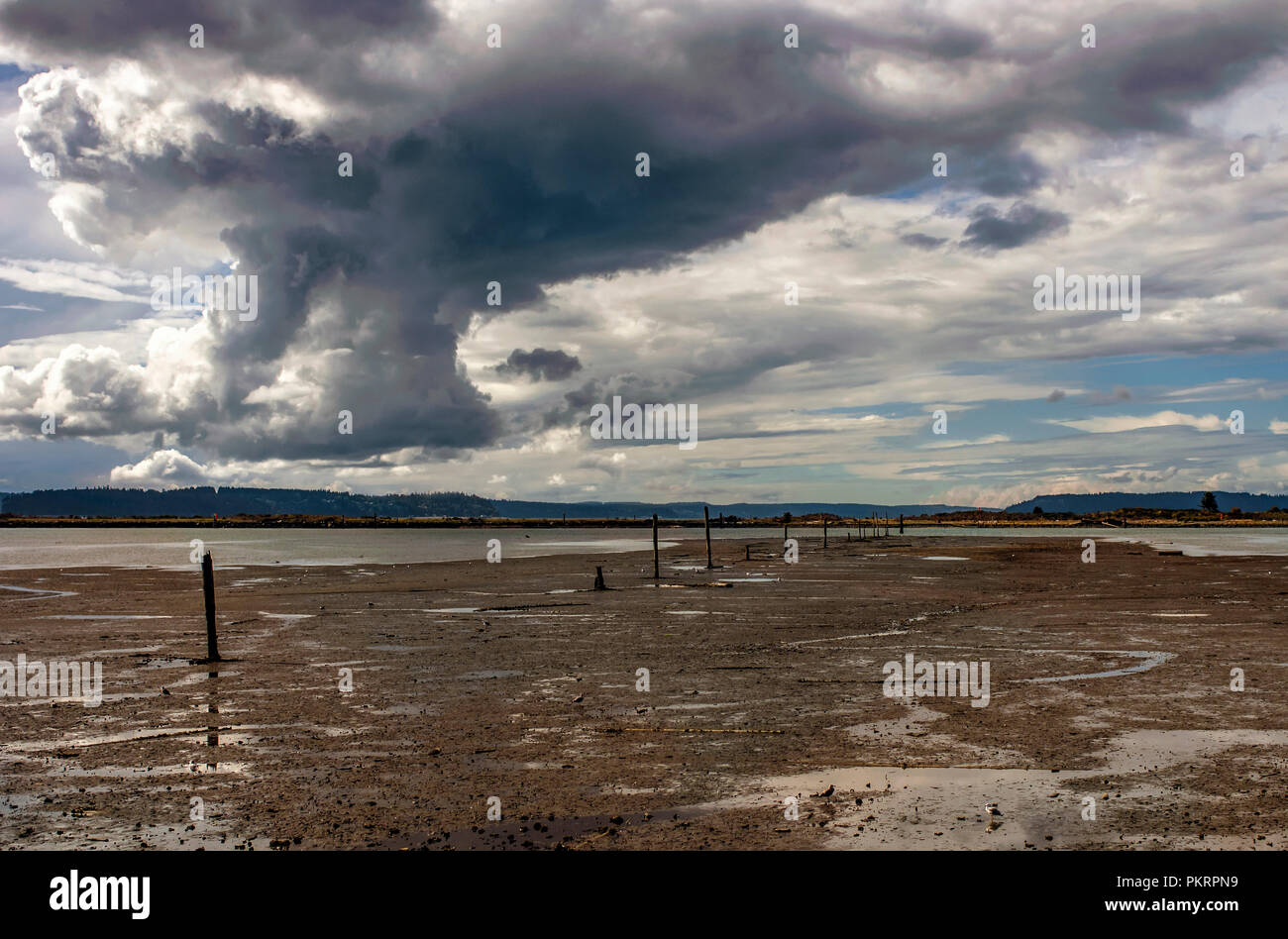 Everett washington jetty hi-res stock photography and images - Alamy