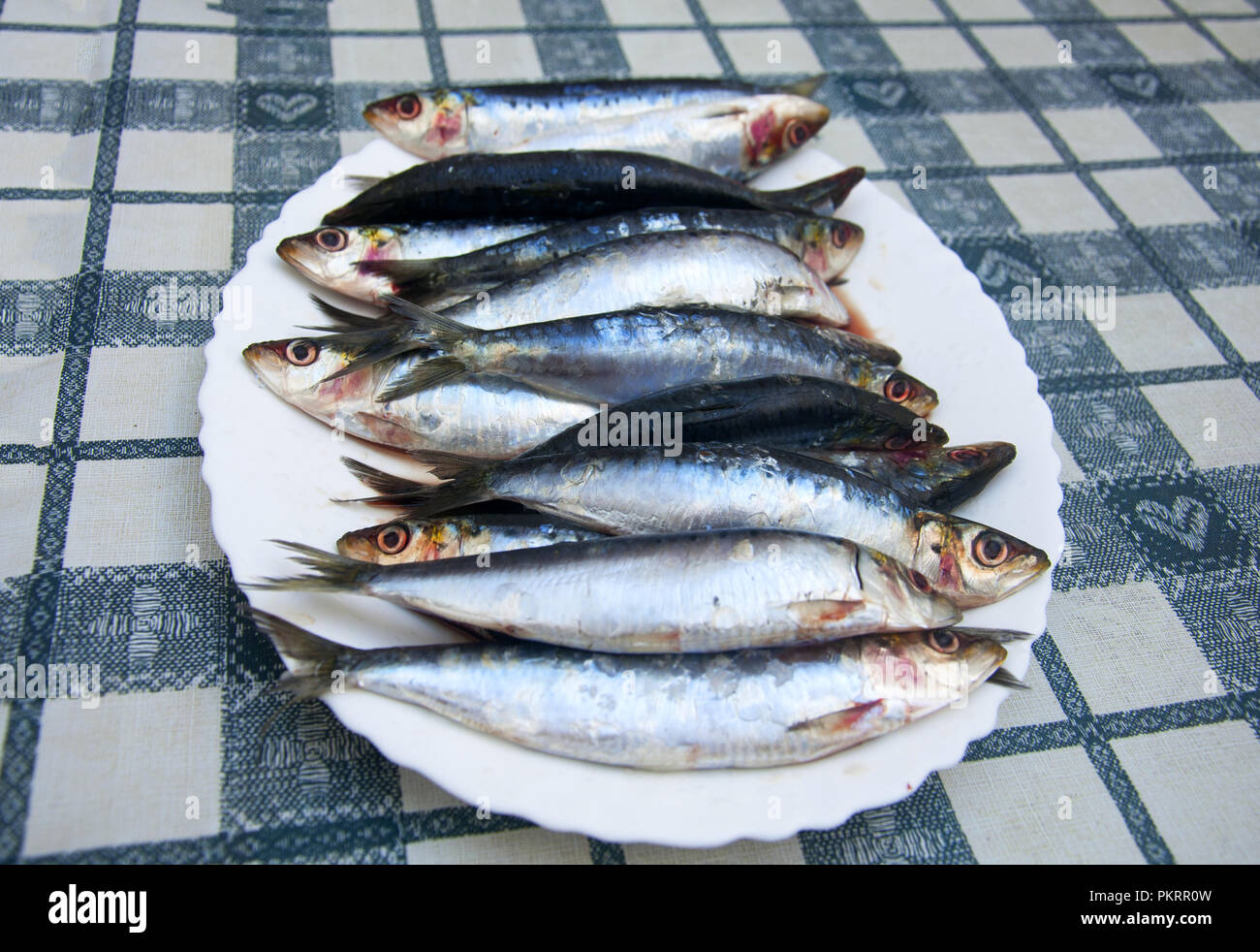 Fresh sardines on the white plate on the table, side view Stock Photo ...
