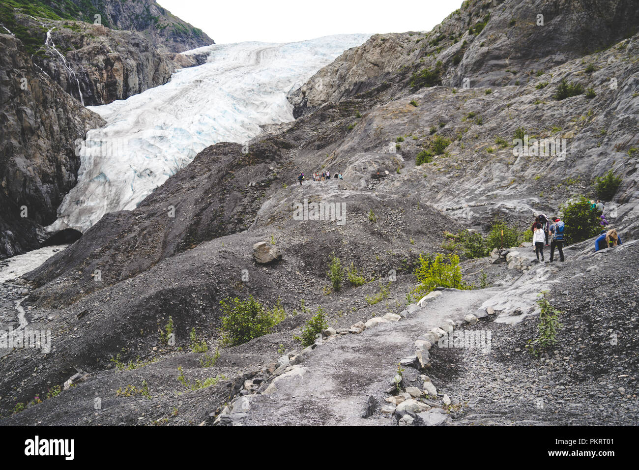 Hiking trail to Exit Glacier in Kenai Fjords National Park in Alaska ...
