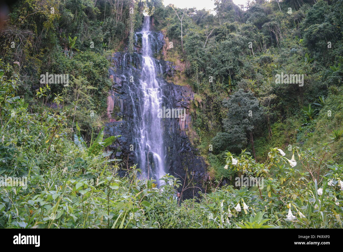 Zaina waterfall in the Chania River, Nyeri County, Kenya Stock Photo ...