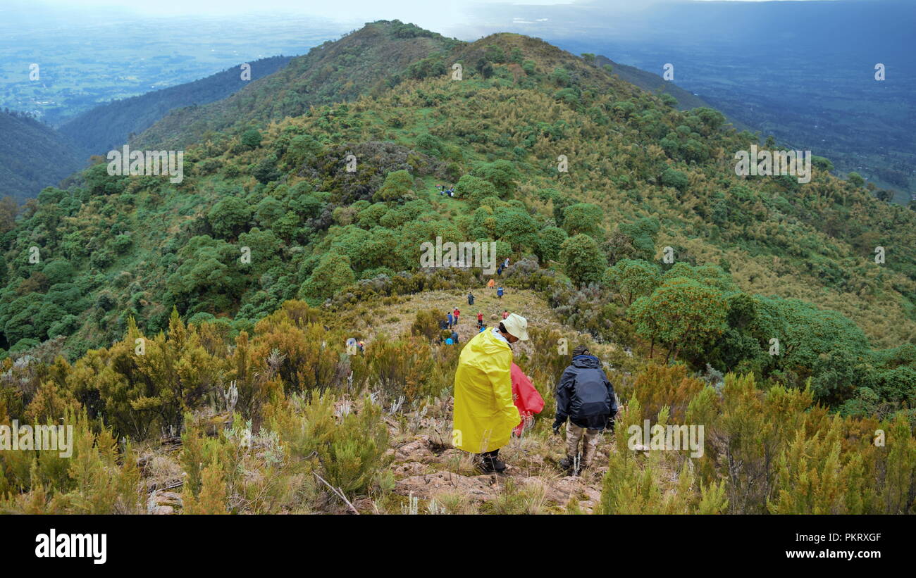 Mountain Range against an overcast sky, Mount Kipipiri, Aberdare Ranges ...