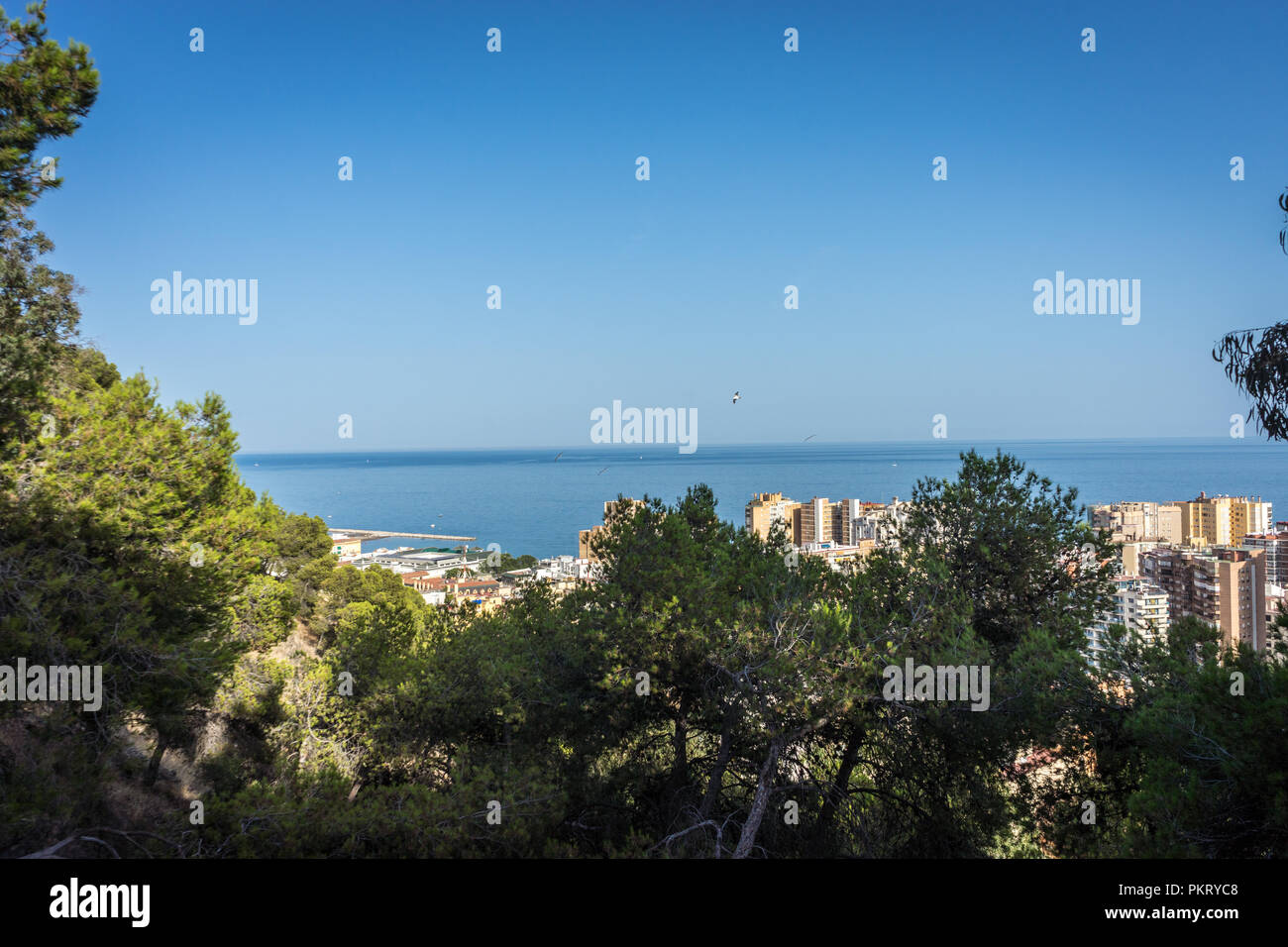 City skyline of Malaga overlooking the sea ocean in Malaga, Spain ...