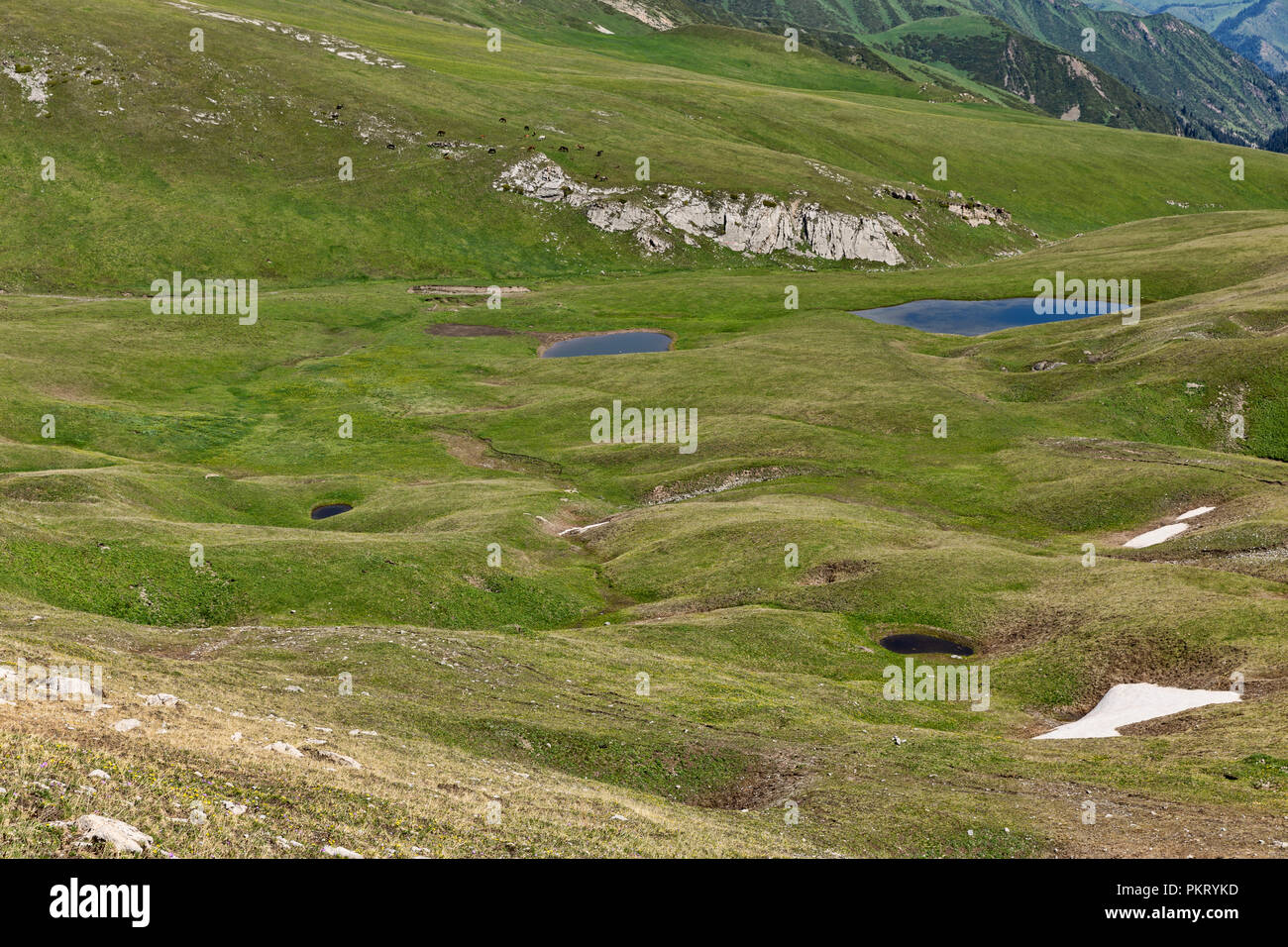 Altitude pastures hi-res stock photography and images - Alamy