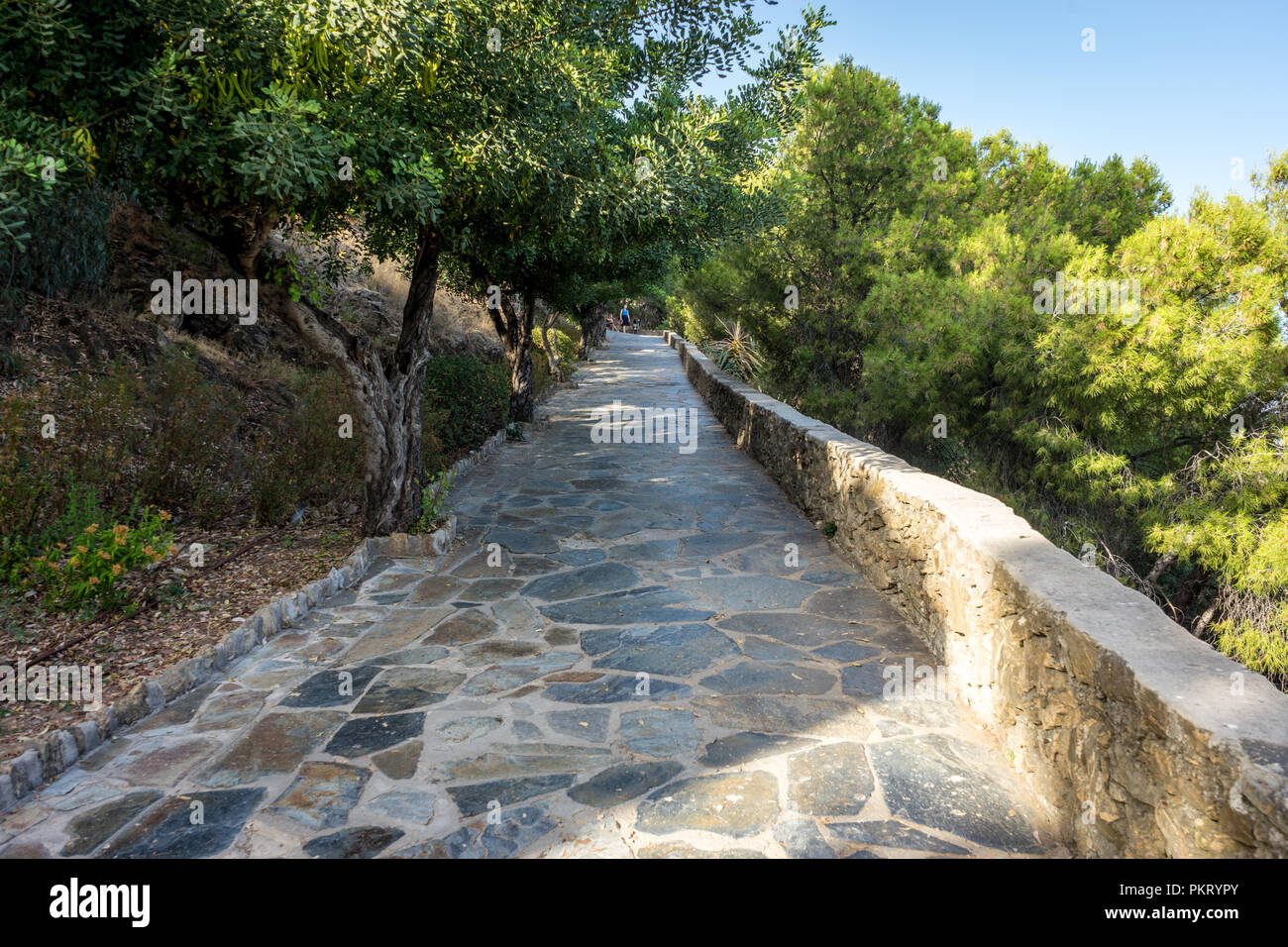 Stone pathway leading up hi-res stock photography and images - Alamy