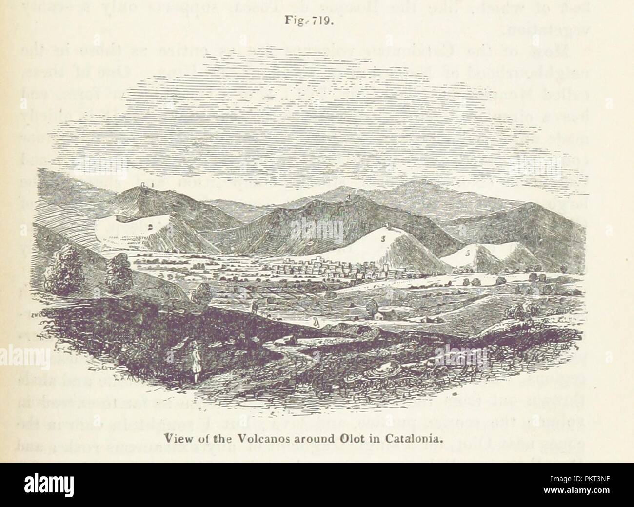 Image from page 685 of 'Elements of Geology . Sixth edition, greatly ...