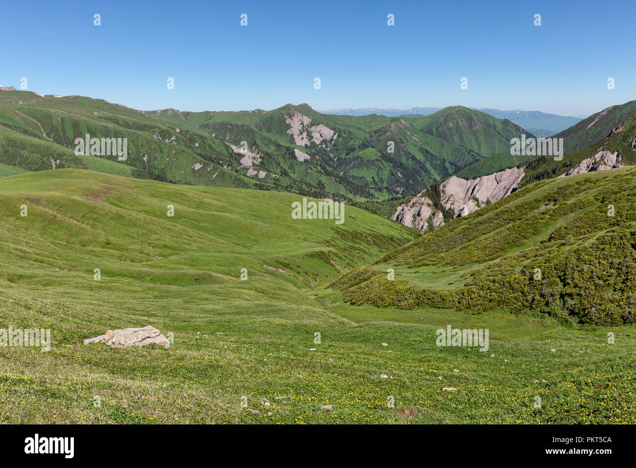 Tyup River valley, Keskenkyia Loop trek, Jyrgalan, Kyrgyzstan Stock ...