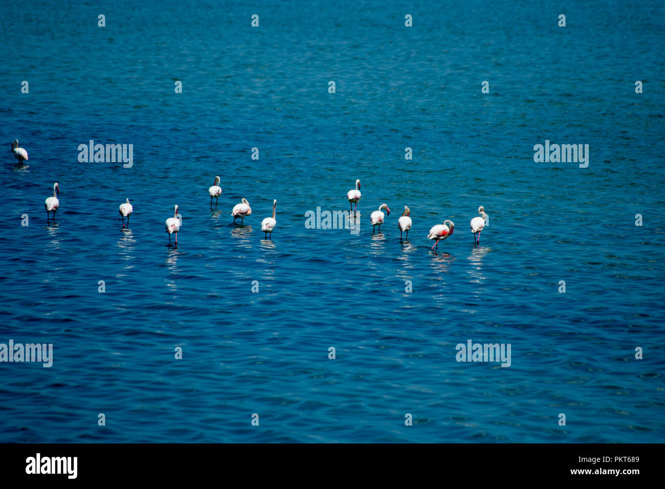 Salt lake turkey hi-res stock photography and images - Alamy