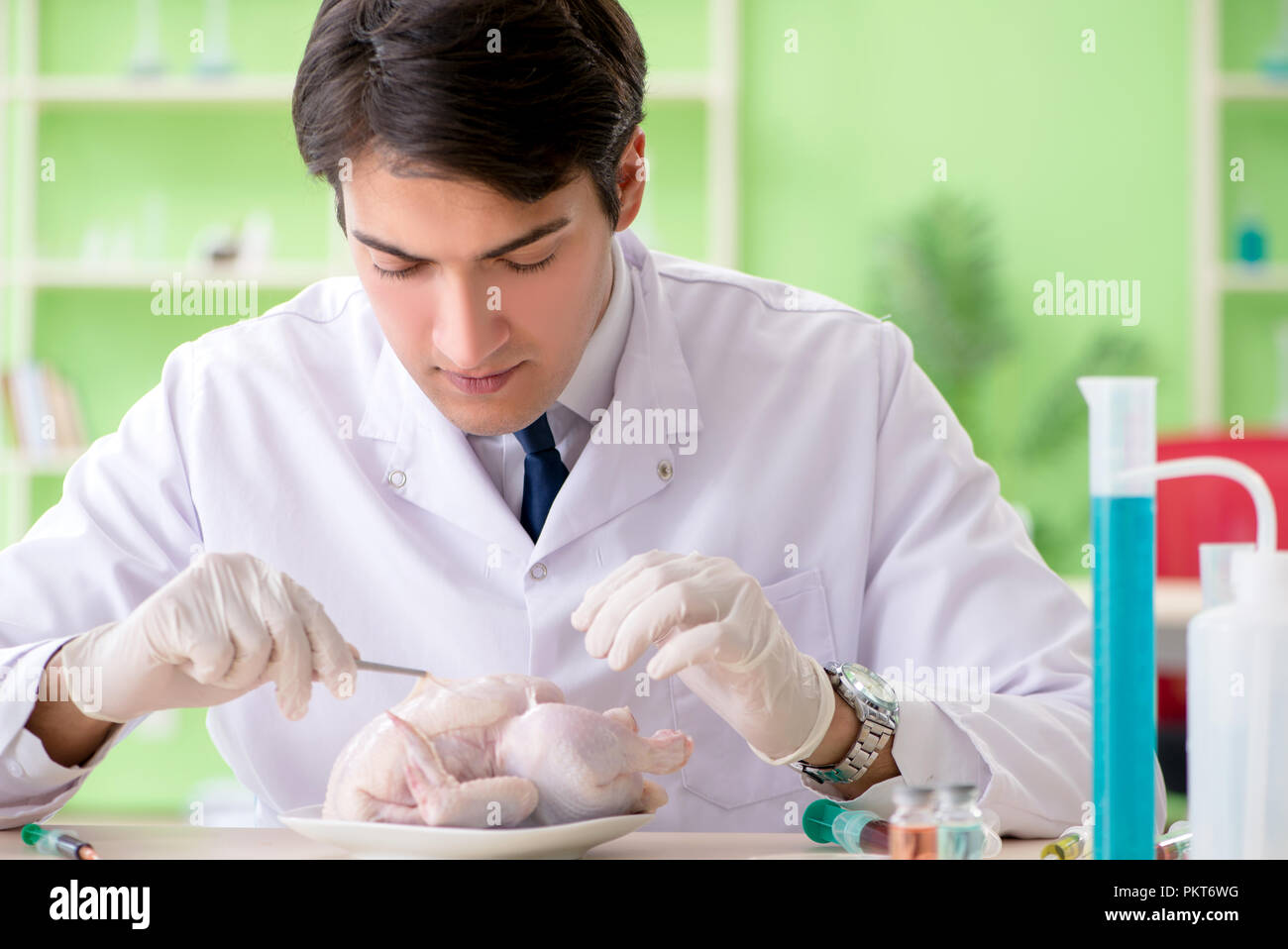 Lab assistant testing GMO chicken Stock Photo - Alamy