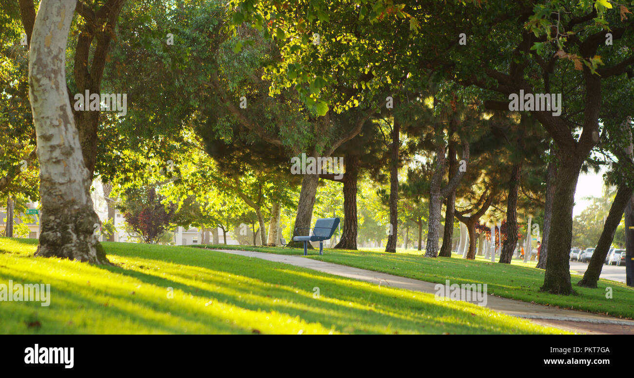 Empty botanic park summer sunny hi-res stock photography and images - Alamy