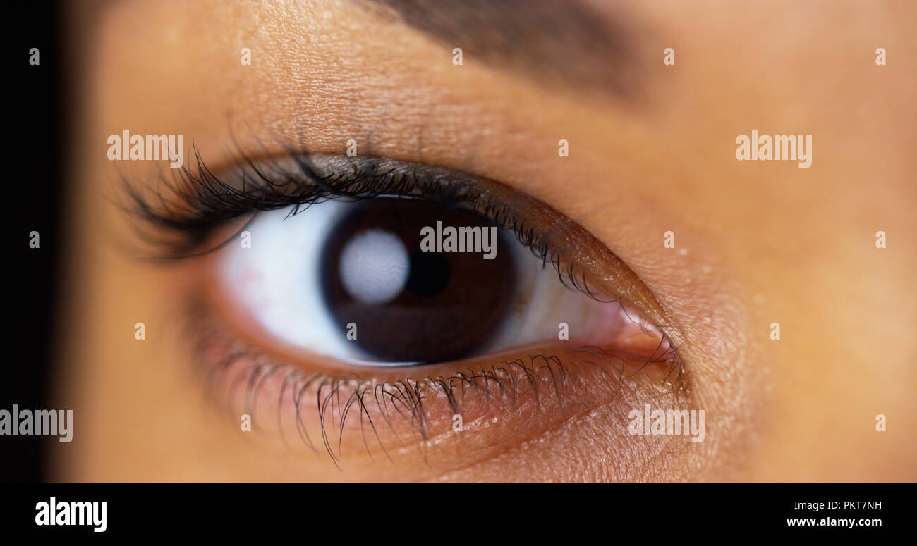 Closeup of brown eyes Stock Photo - Alamy