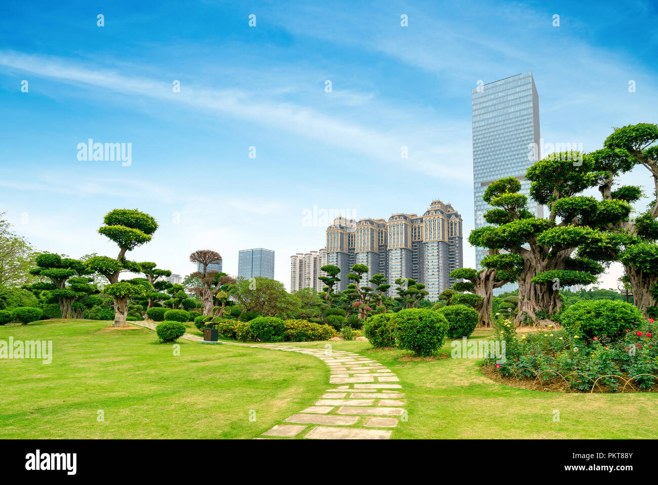 Tall tree next to building hi-res stock photography and images - Alamy