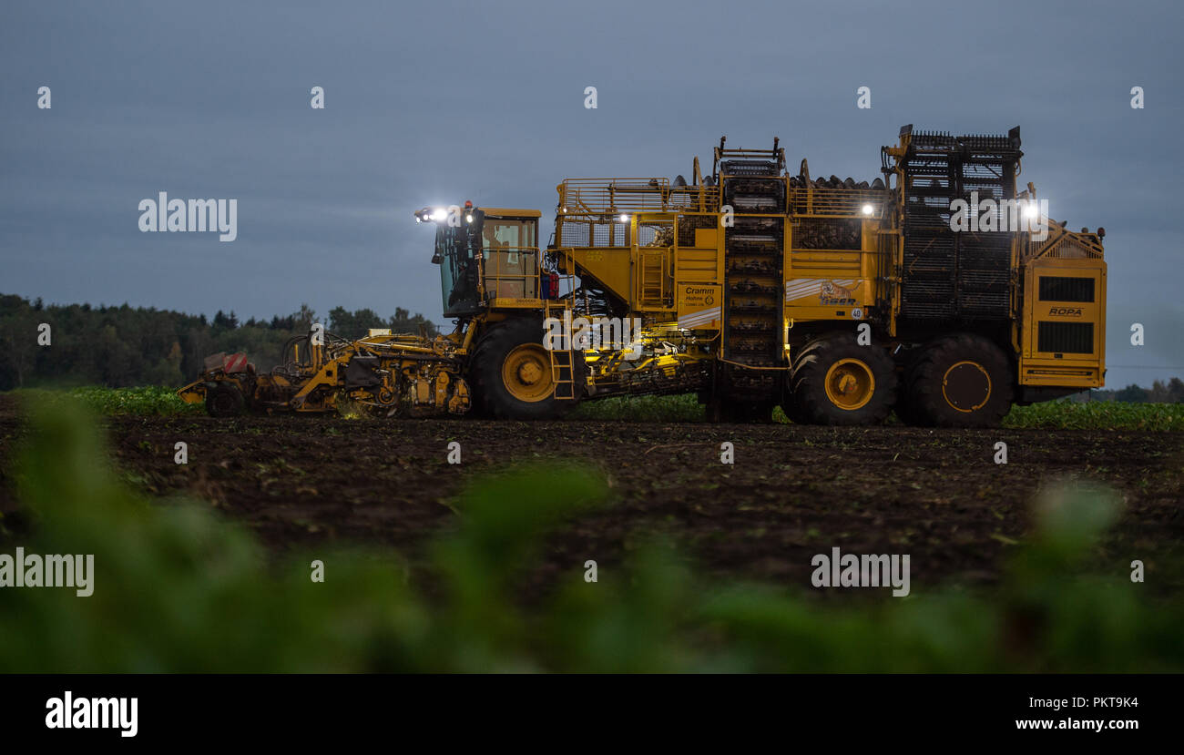 Beet harvester hi-res stock photography and images - Alamy