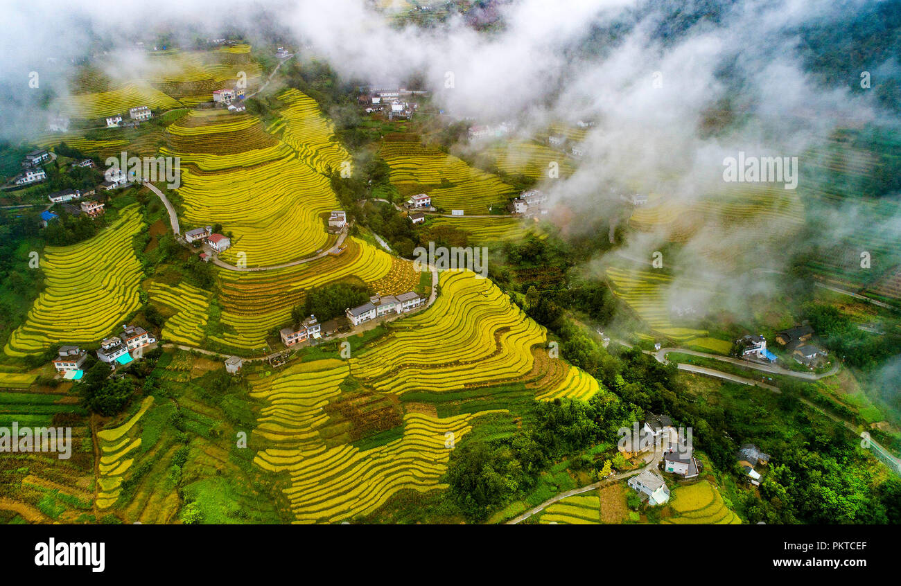 Guihua High Resolution Stock Photography and Images - Alamy