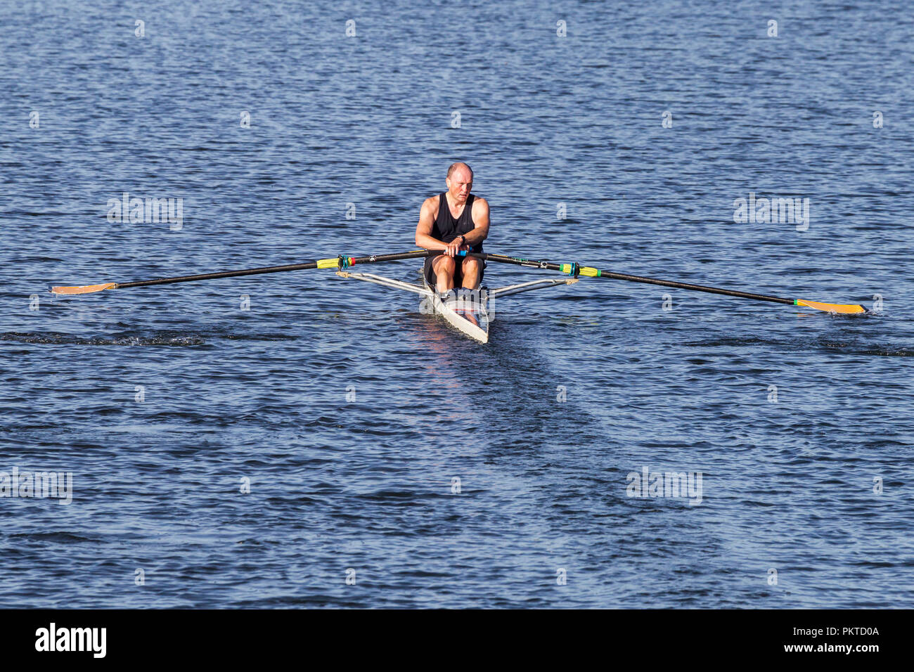 Northampton rowing club hi-res stock photography and images - Alamy