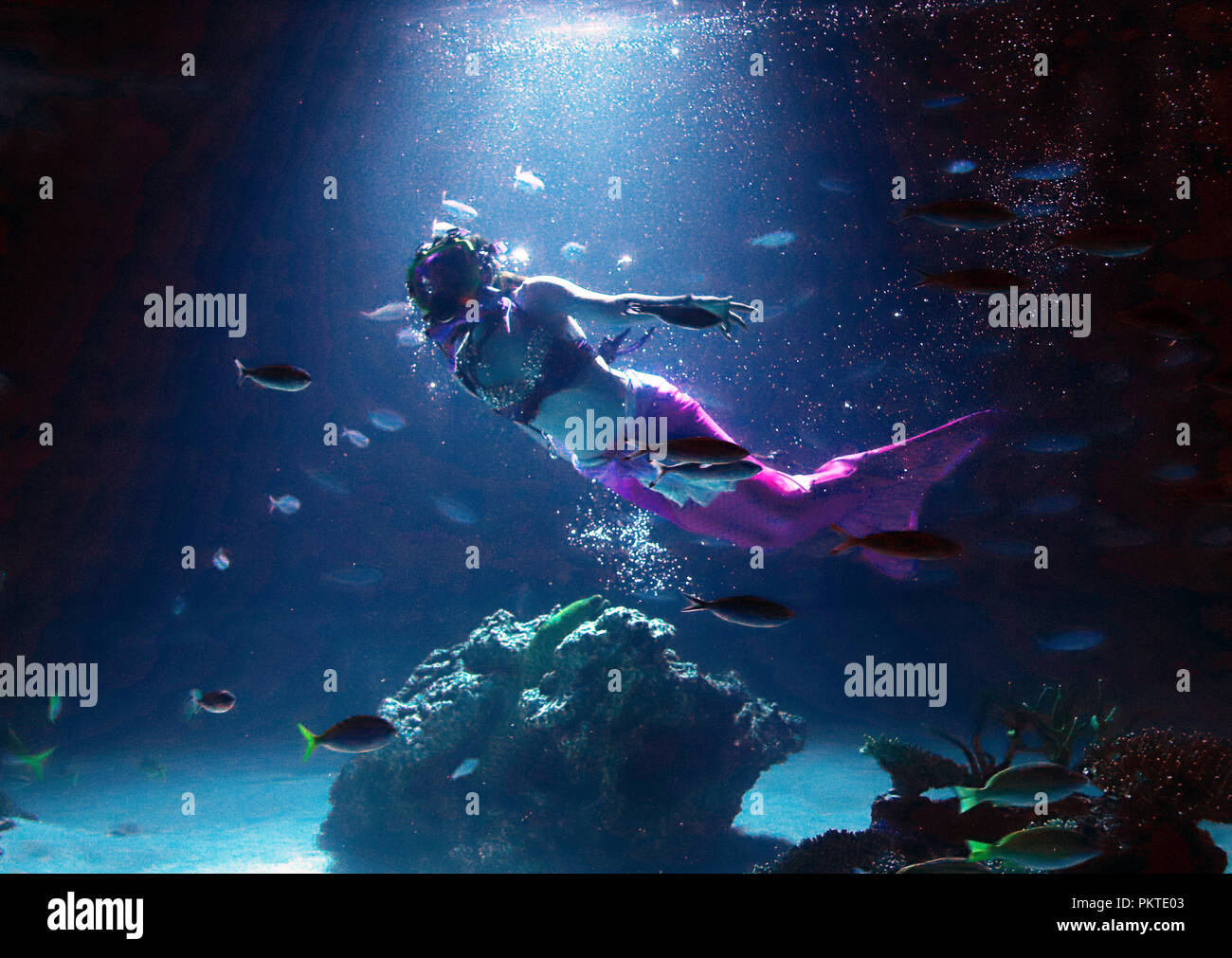 Japanese Mermaids Divers