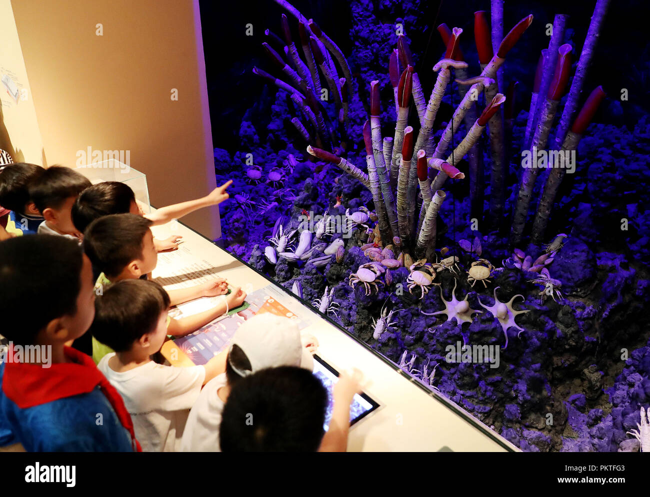 Shanghai. 15th Sep, 2018. Children look at a deep-sea exhibit at ...