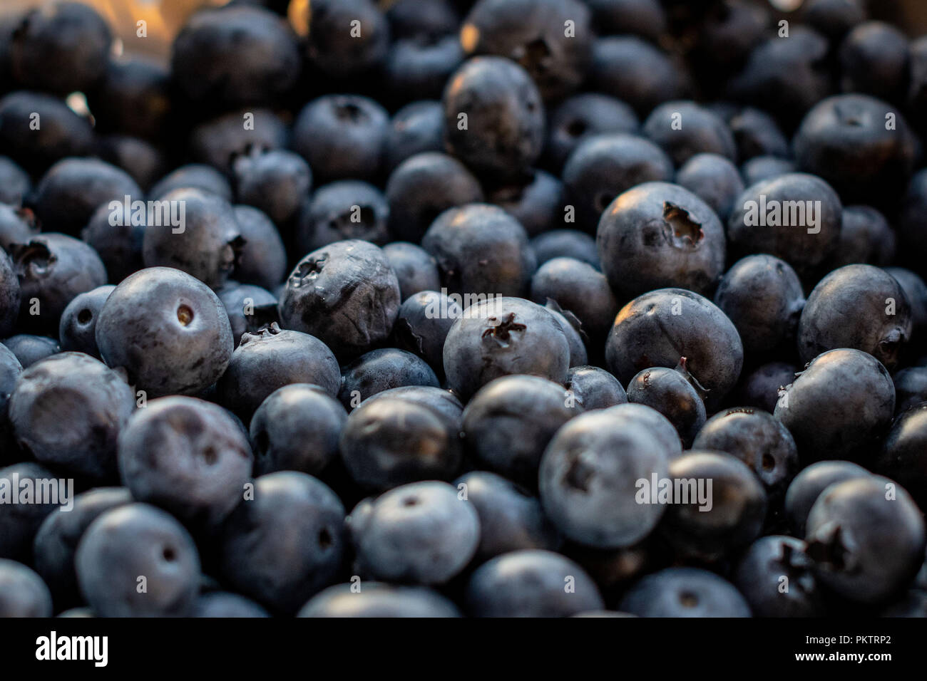 A close-up photo of a forest blueberries Stock Photo - Alamy