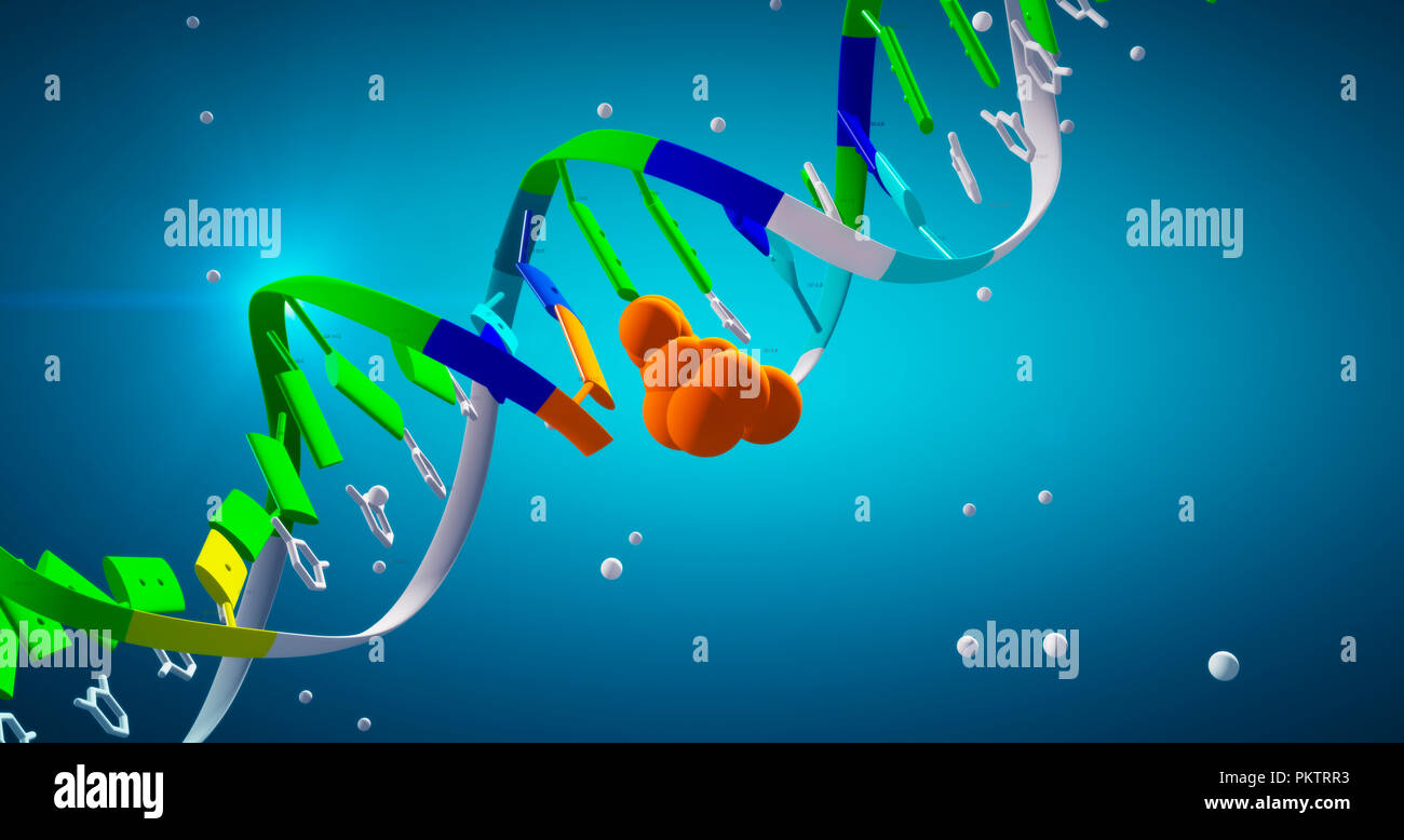 Drug In Covalent Complex With A DNA Strand Causing Mutation, Structural ...