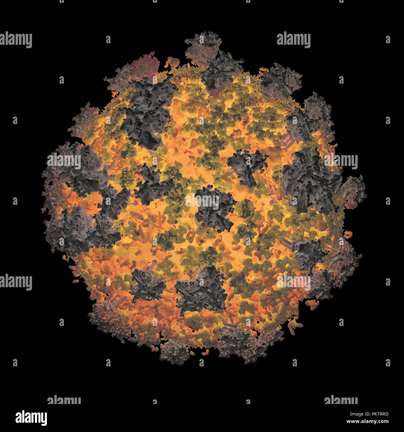 Molecular Model Of A Human Immunodeficiency Virus Type 1 (Hiv-1) Isolated On Black Background ...