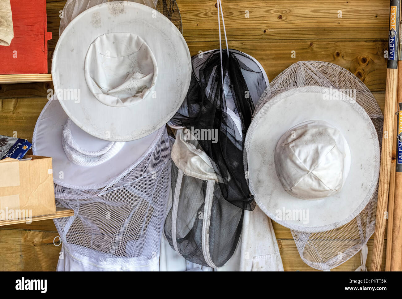 Collection of protective beekeeper's hats Stock Photo - Alamy