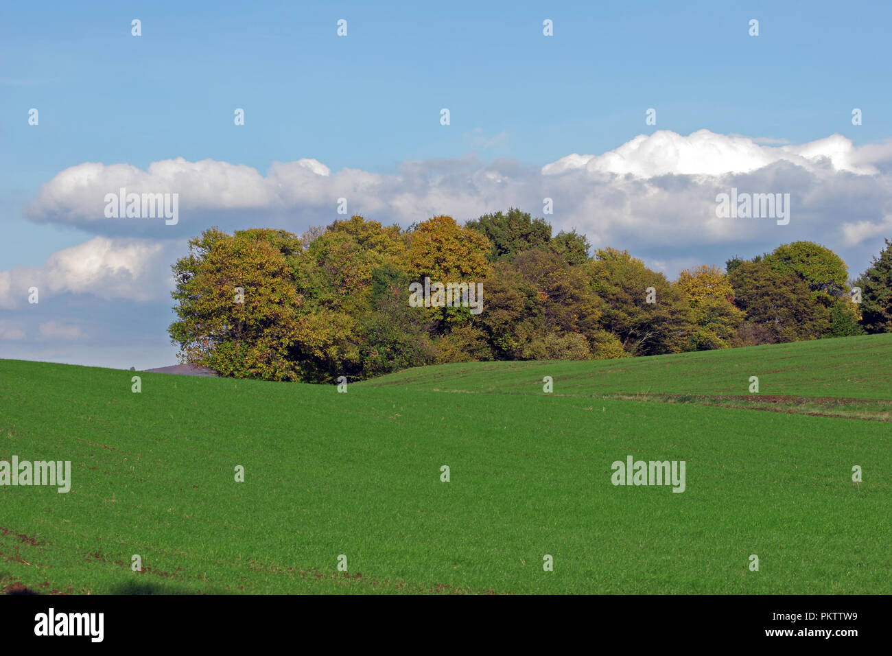 Italian farmland hi-res stock photography and images - Alamy