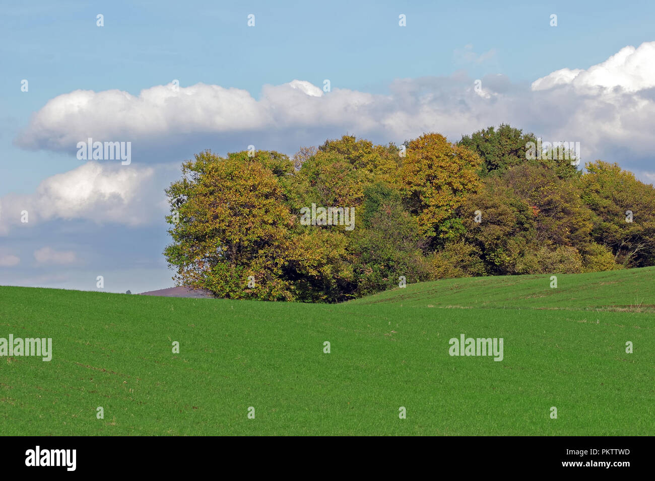 nature of italian countryside Stock Photo - Alamy