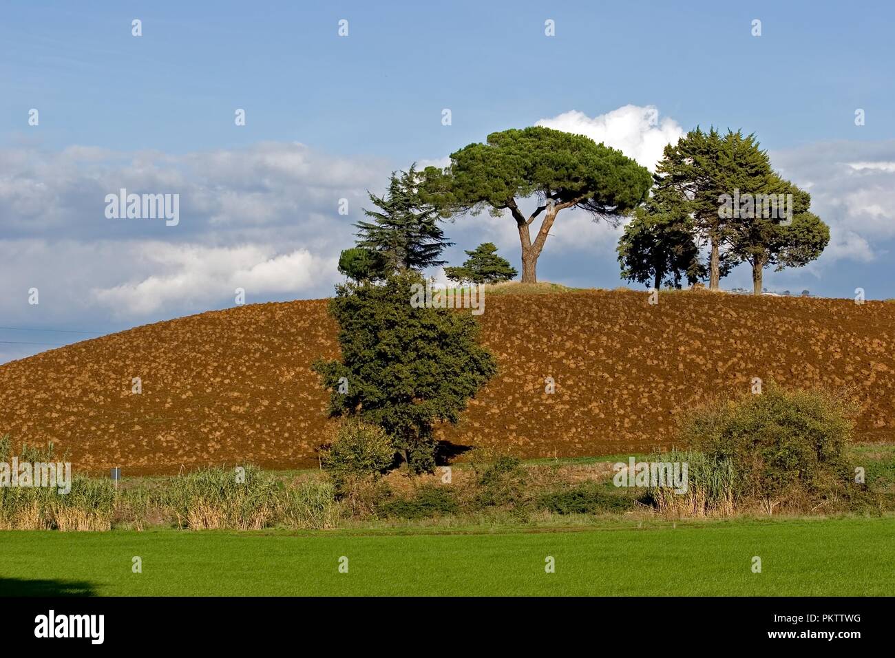 nature of italian countryside Stock Photo - Alamy