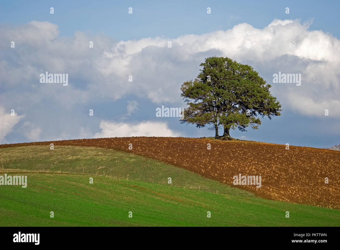 nature of italian countryside Stock Photo - Alamy